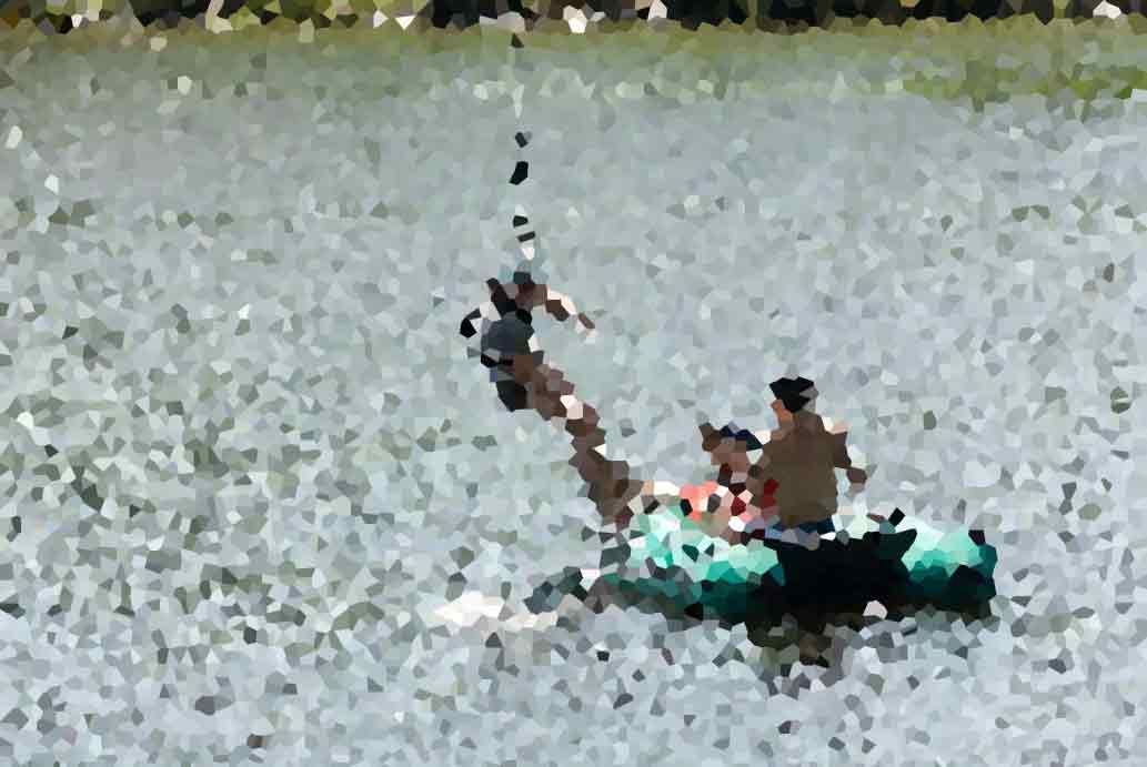 How to Support Environmental Conservation Efforts